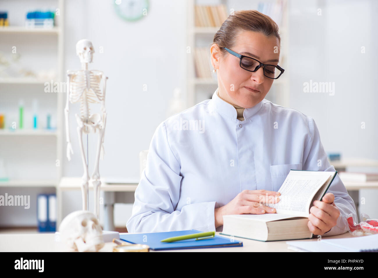 Woman doctor studying human skeleton Stock Photo - Alamy