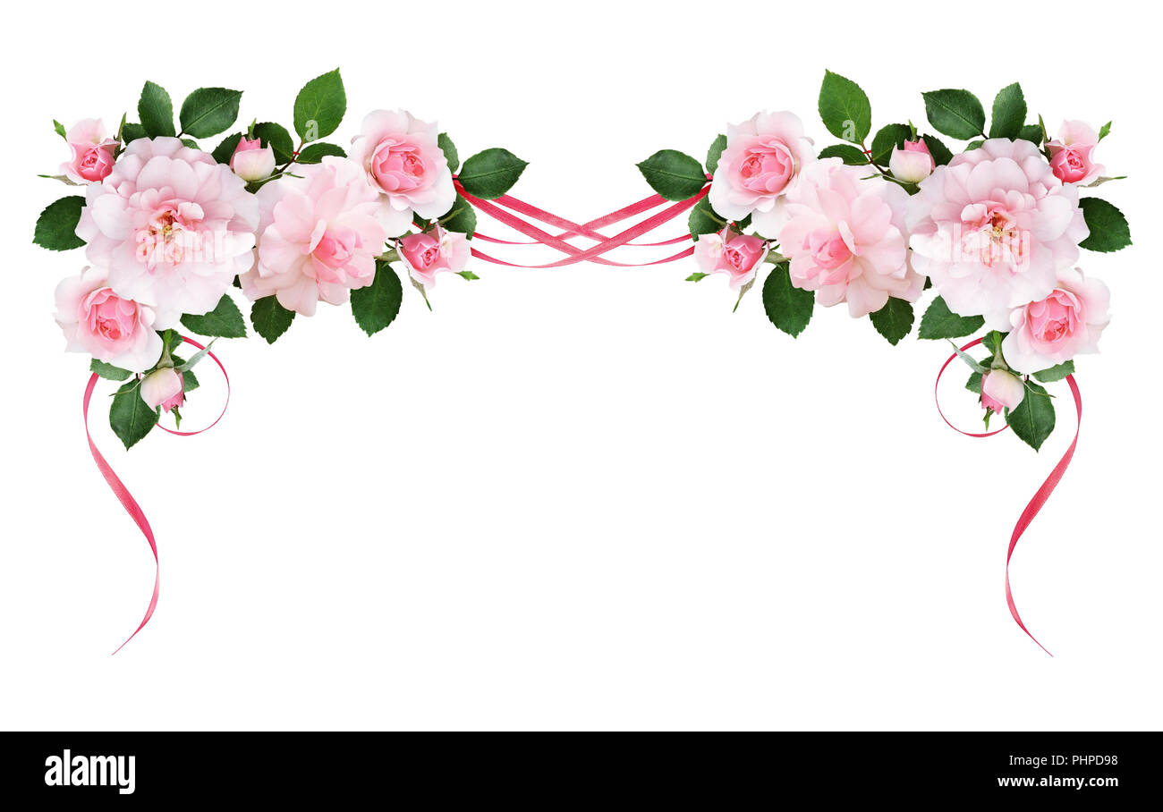 Pink Flowing Ribbons