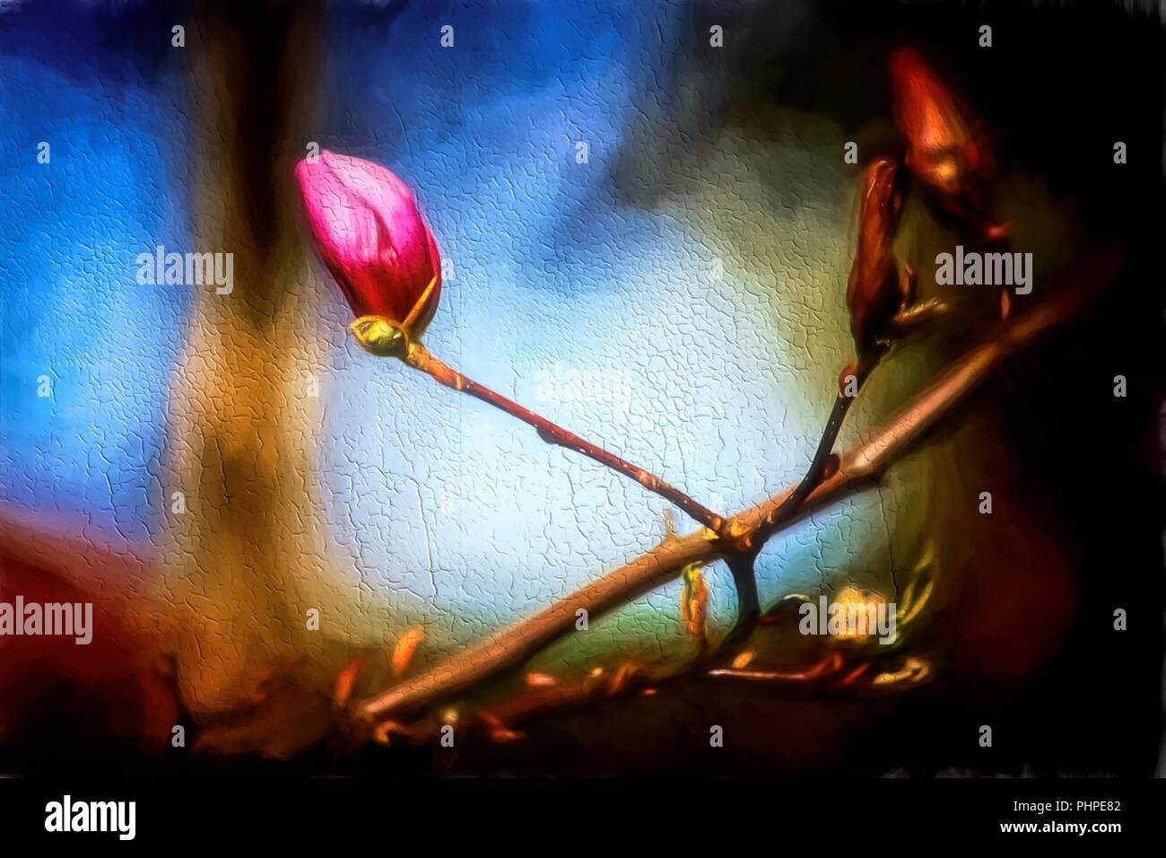 Paint bud hi-res stock photography and images - Alamy