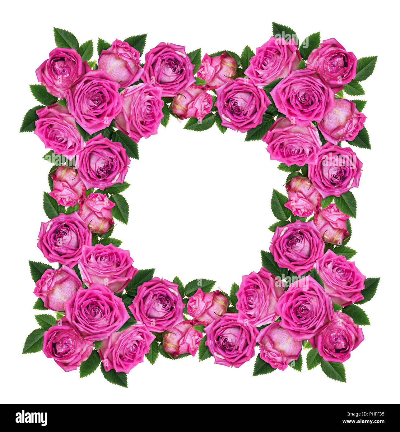 Square floral frame hi-res stock photography and images - Alamy