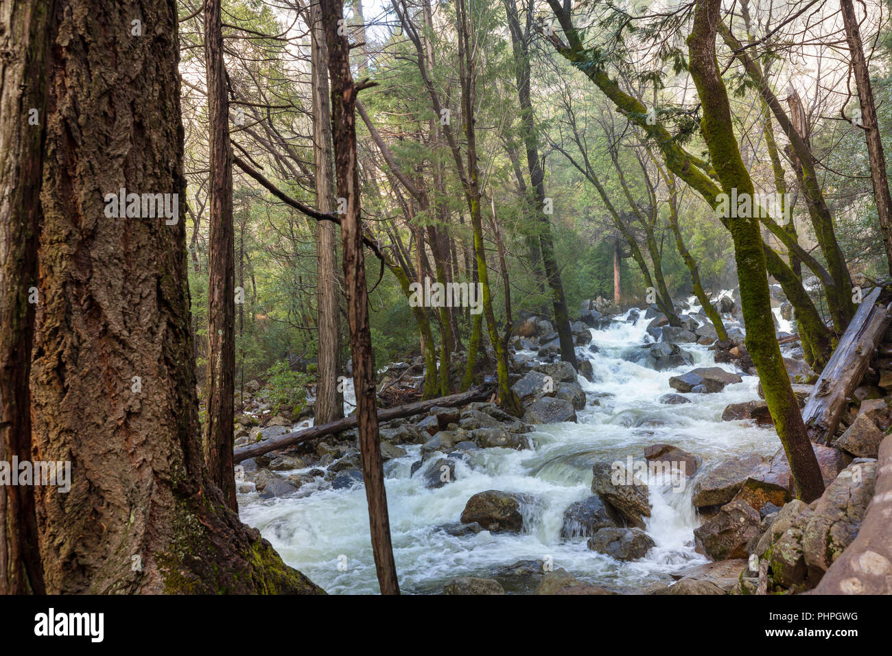 Early spring in Yosemite Stock Photo - Alamy
