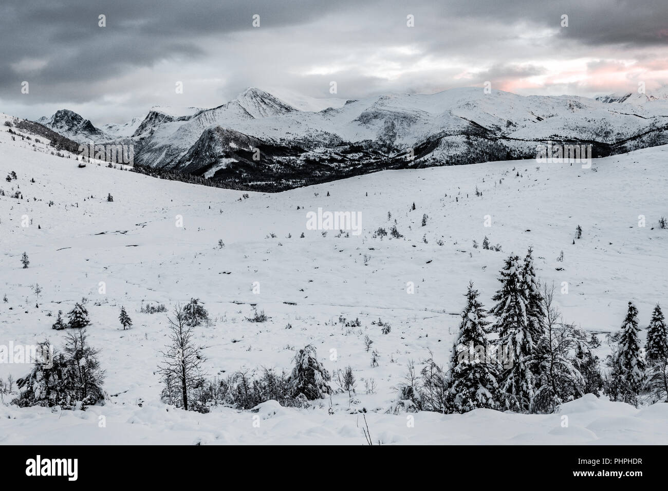 Volda orsta hi-res stock photography and images - Alamy