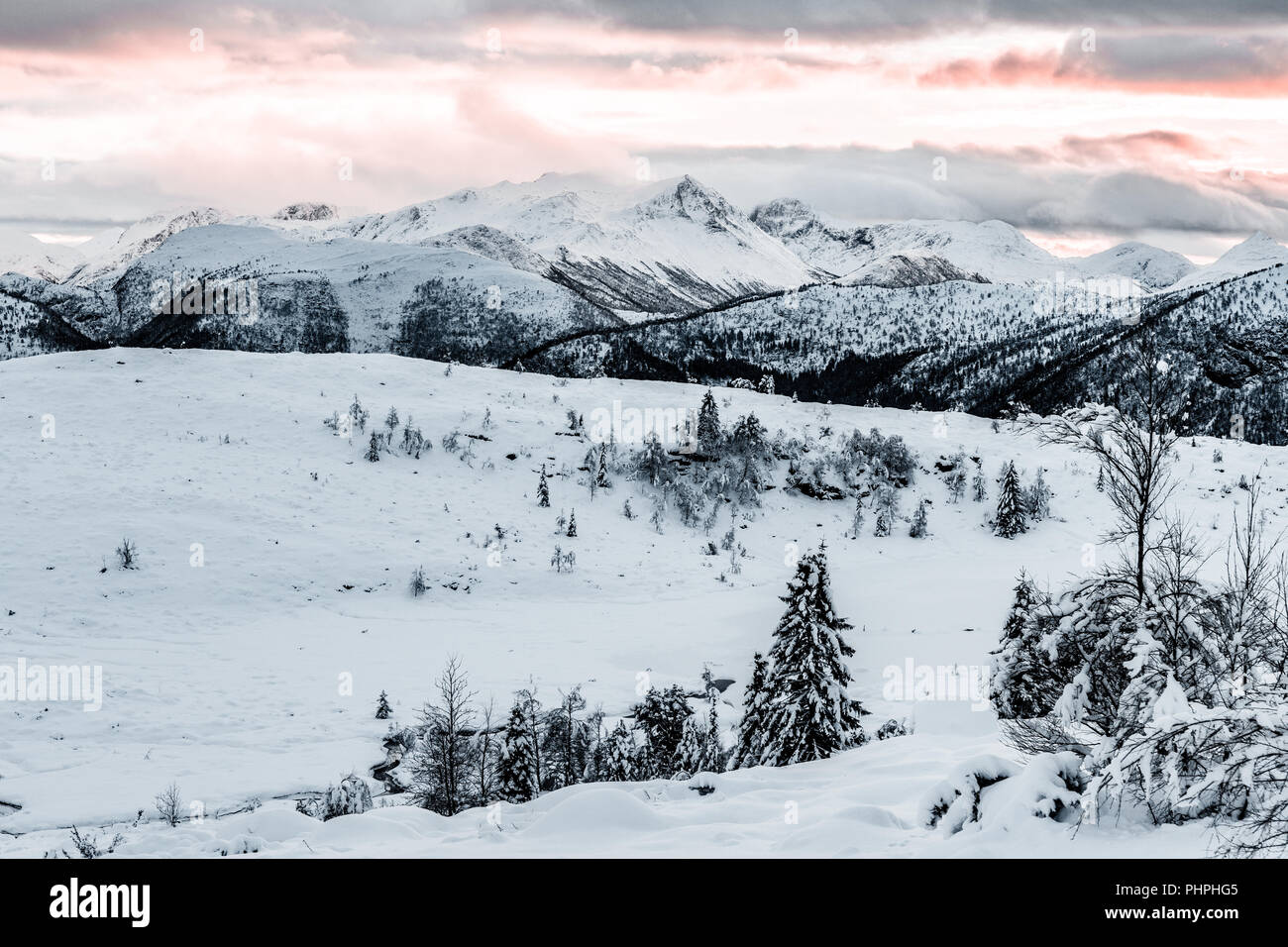Volda orsta hi-res stock photography and images - Alamy