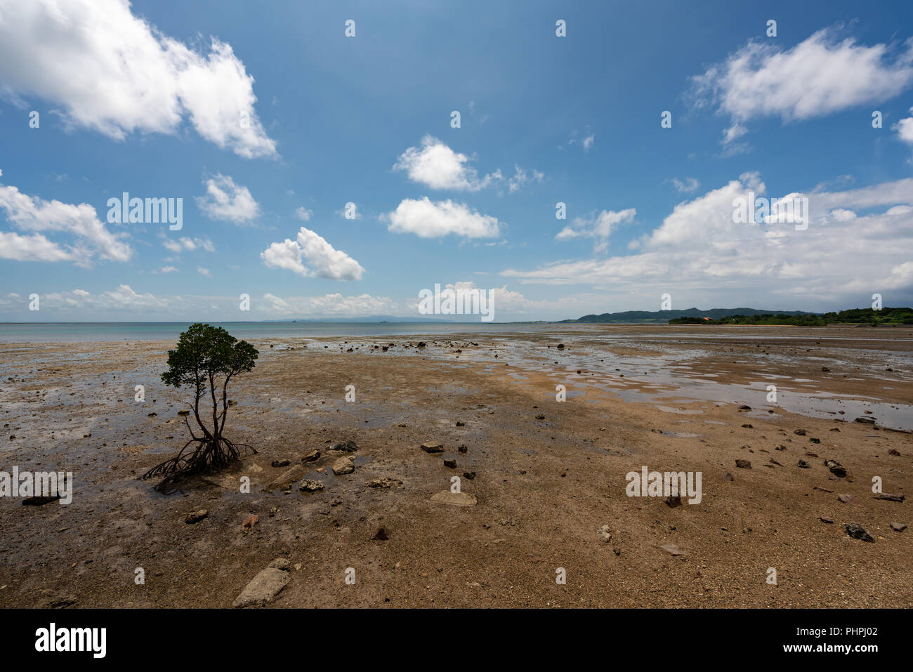 Landsape of Nagura Bay at low tide in Ishigaki Island of Okinawa, Japan ...