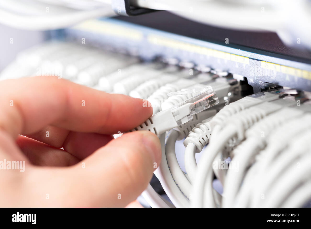 IT consultant connects a network cable into switch in datacenter Stock ...