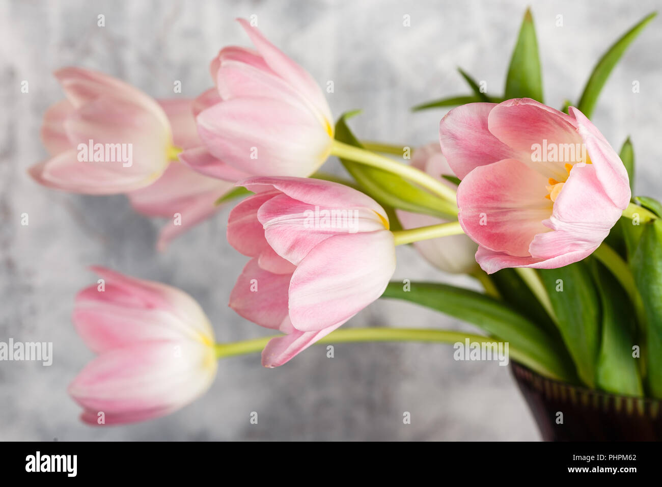Pink tulips flowers Stock Photo - Alamy