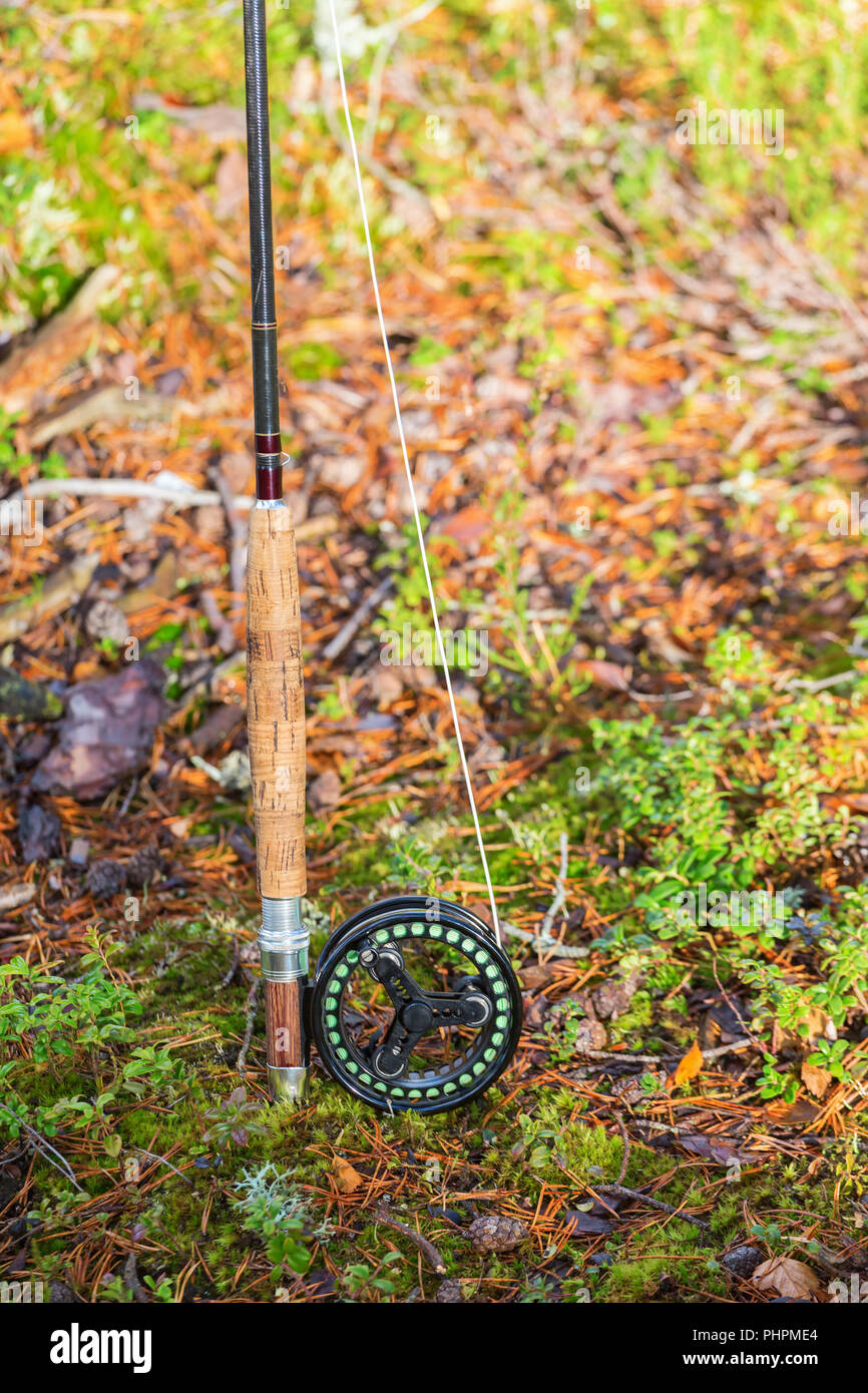 Fishing rod with roll standing on the ground Stock Photo - Alamy