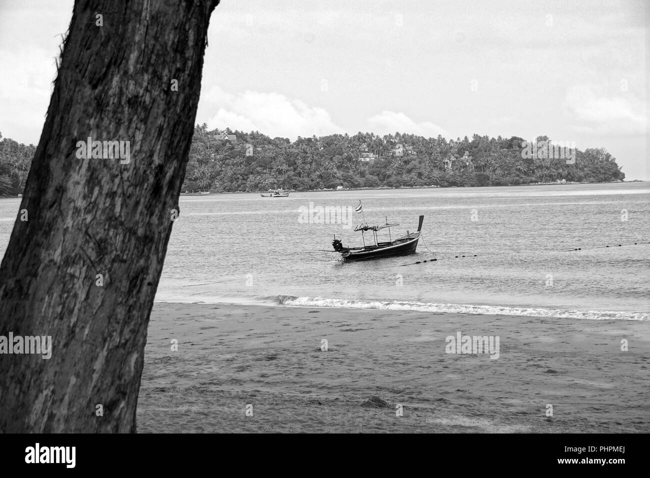 Asian landscape hi-res stock photography and images - Alamy