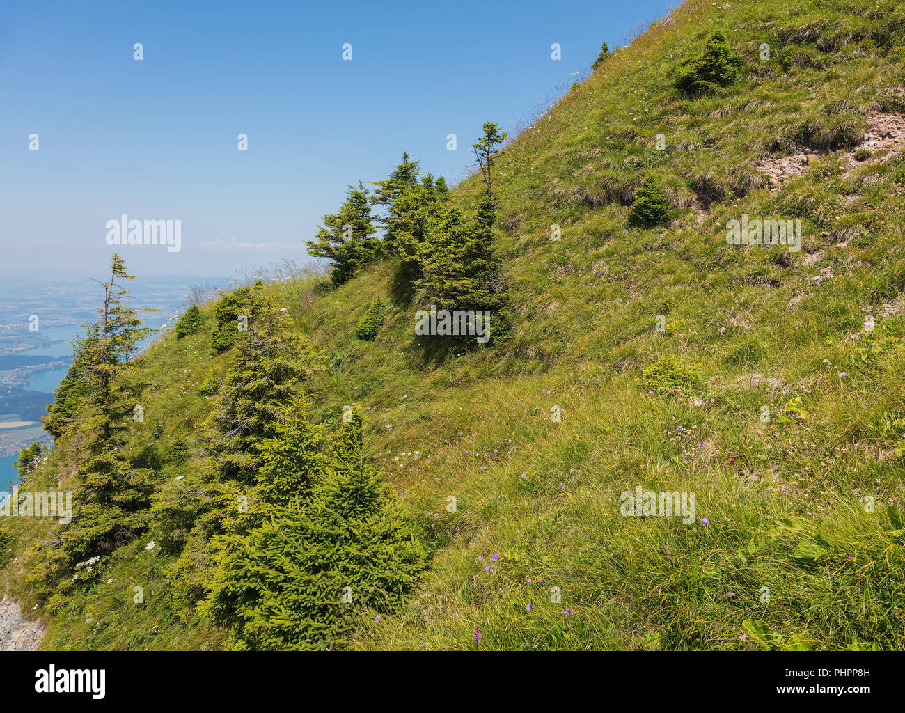 Slope of Mt. Rigi in Switzerland in summer. The Rigi is a popular ...