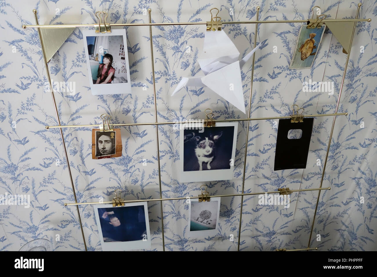 Collection of small photographs clipped onto contemporary art frame ...