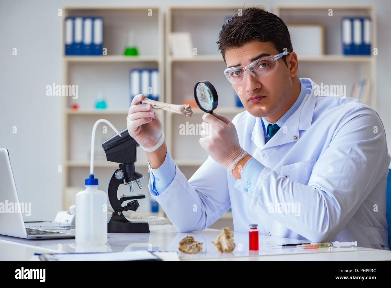 Paleontologist looking at extinct animal bone Stock Photo - Alamy