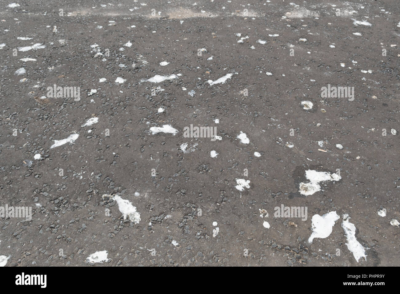 Seagull droppings hi-res stock photography and images - Alamy
