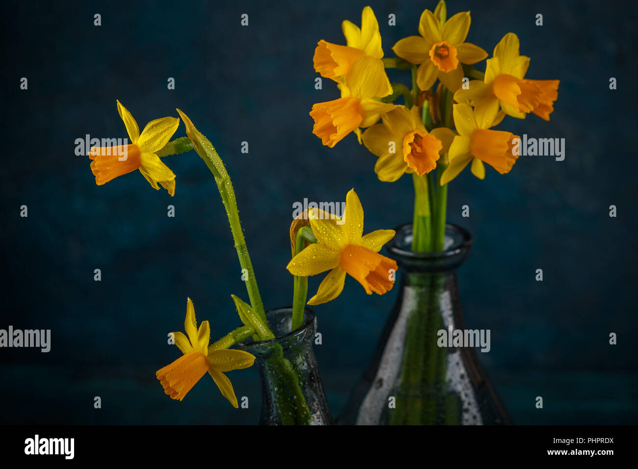 Miniature daffodils hi-res stock photography and images - Alamy
