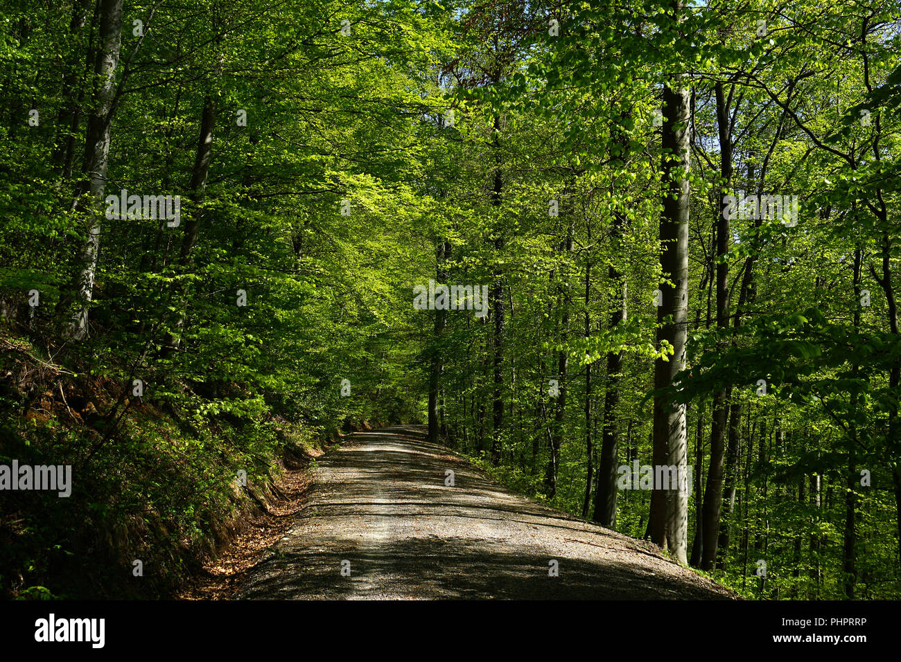 Springtime nature trail hi-res stock photography and images - Alamy