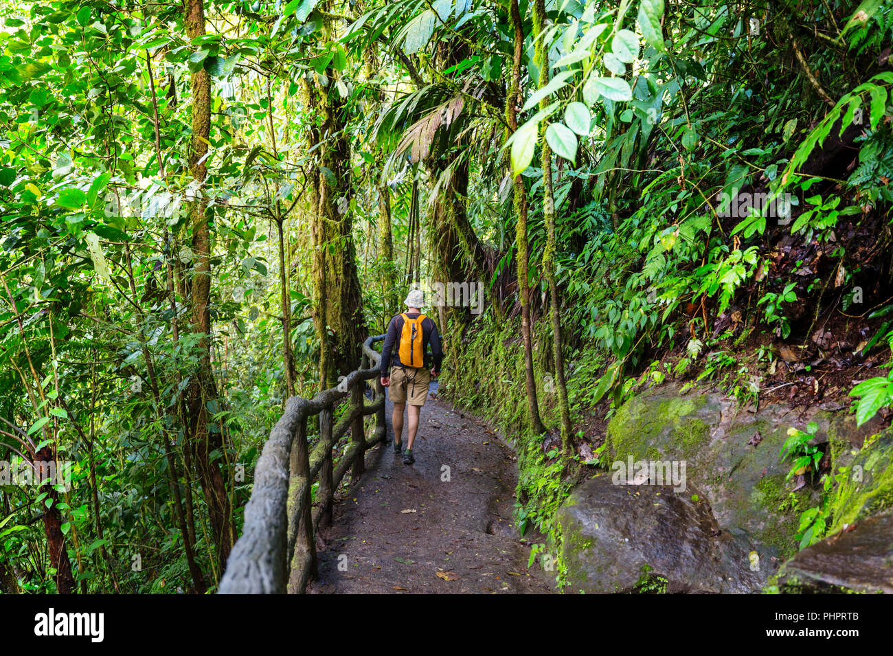 Hike in Costa Rica Stock Photo - Alamy
