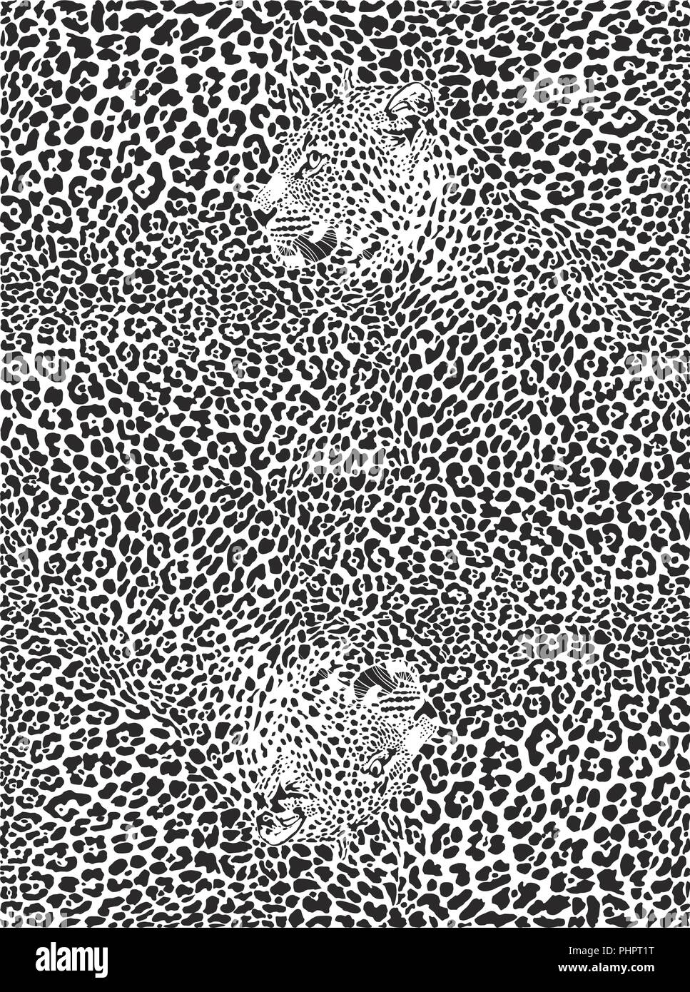 Leopard texture vector vectors Black and White Stock Photos & Images ...