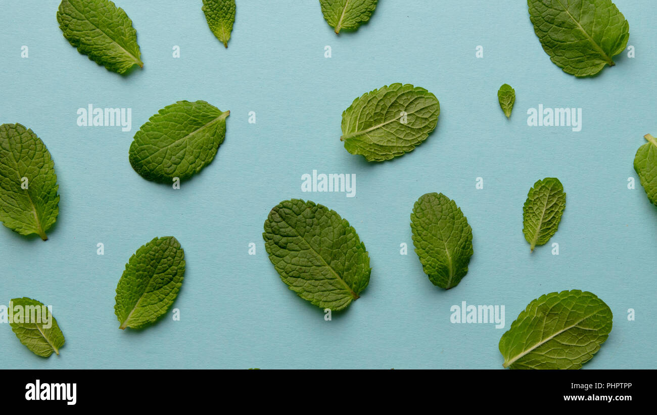 Mint blue green hi-res stock photography and images - Alamy