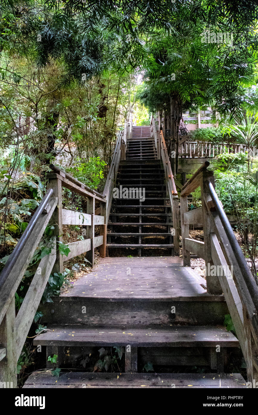 The Filbert Steps, San Francisco, California Stock Photo - Alamy