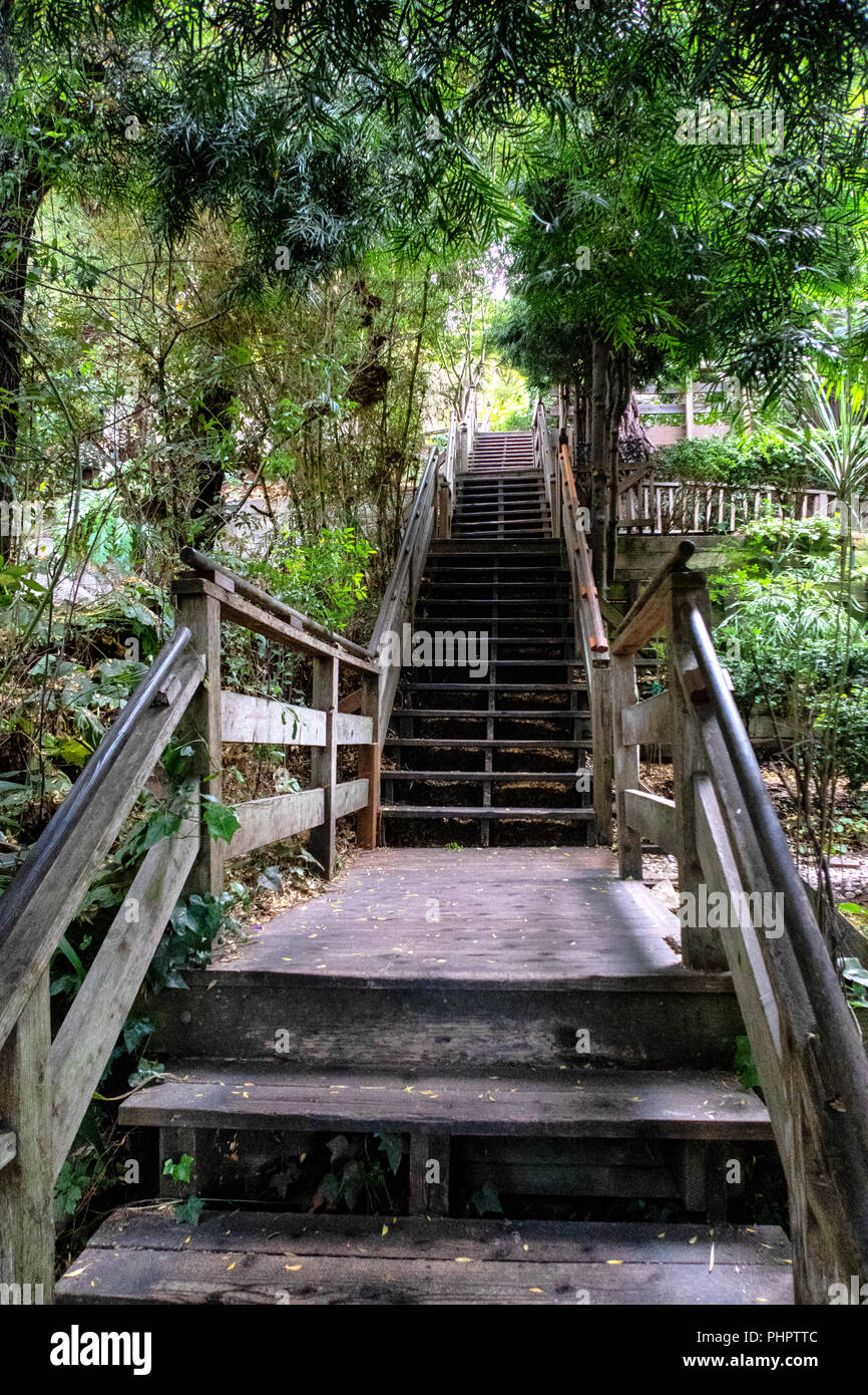 Filbert street san francisco hi-res stock photography and images - Alamy