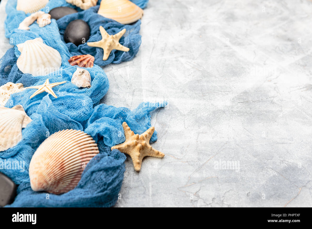 Frame seashells on blue hi-res stock photography and images - Alamy