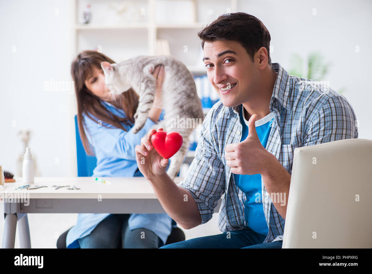 Cat being examining in vet clinic Stock Photo - Alamy