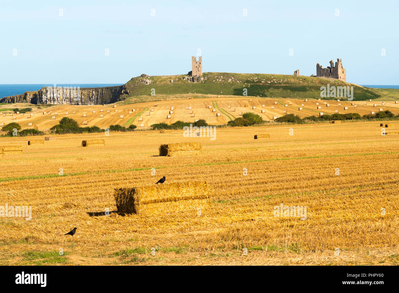 Corn harvest 14th century hi-res stock photography and images - Alamy