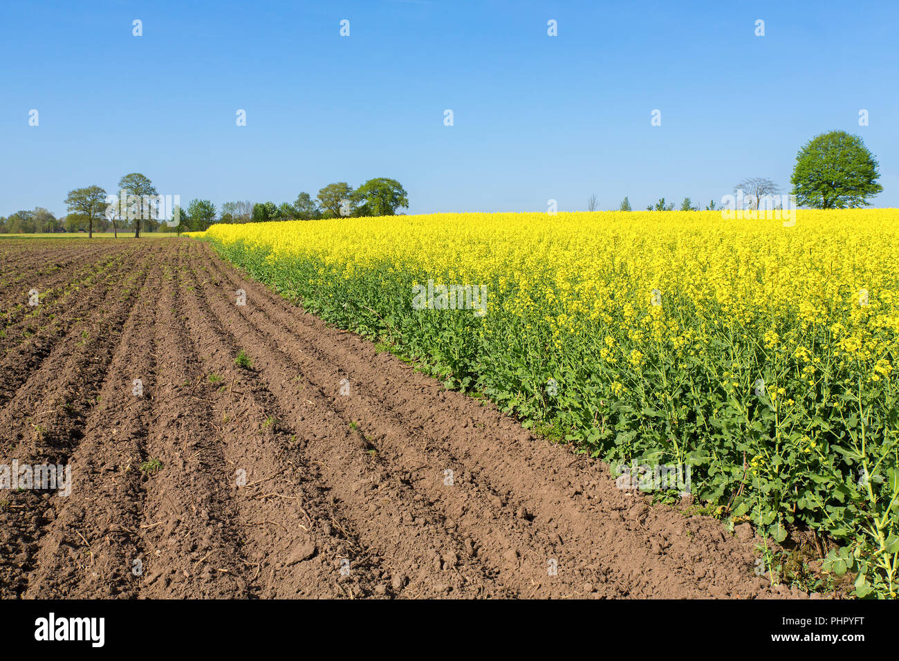 Sandy soil hi-res stock photography and images - Alamy
