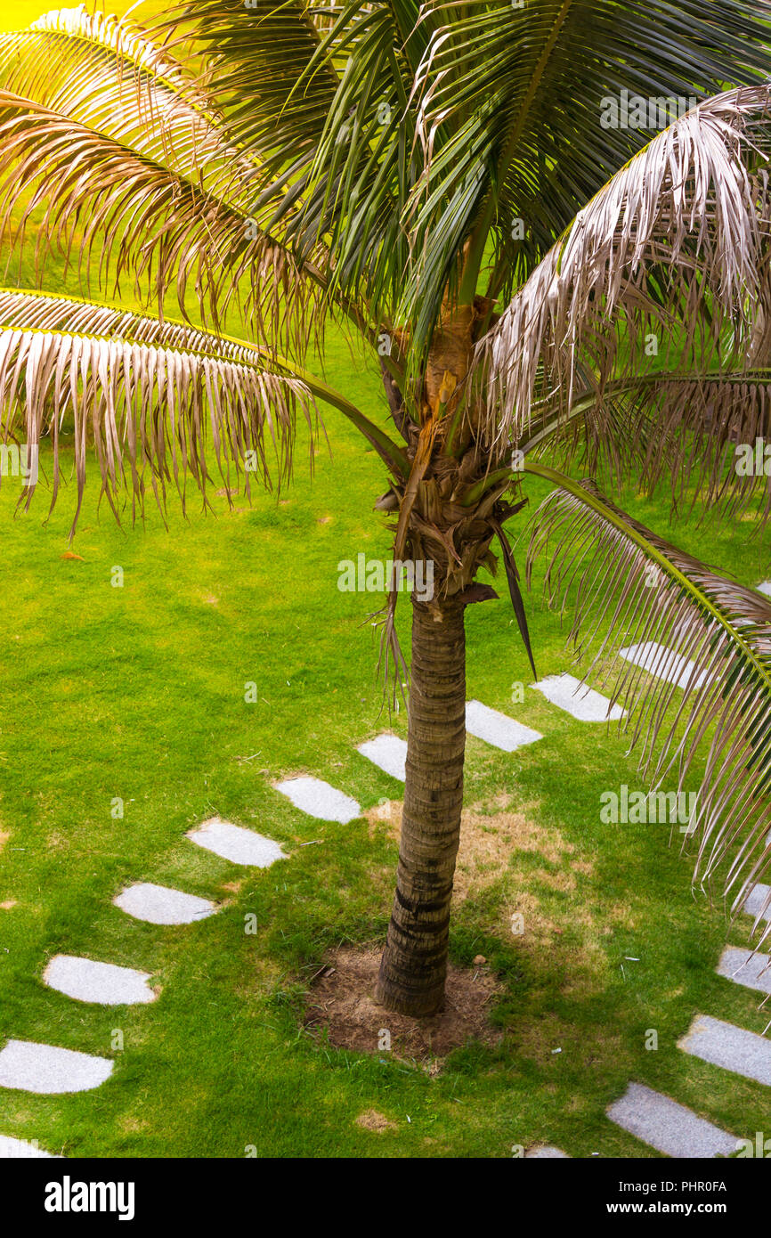 From the sidewalk at ipanema beach hi-res stock photography and images ...