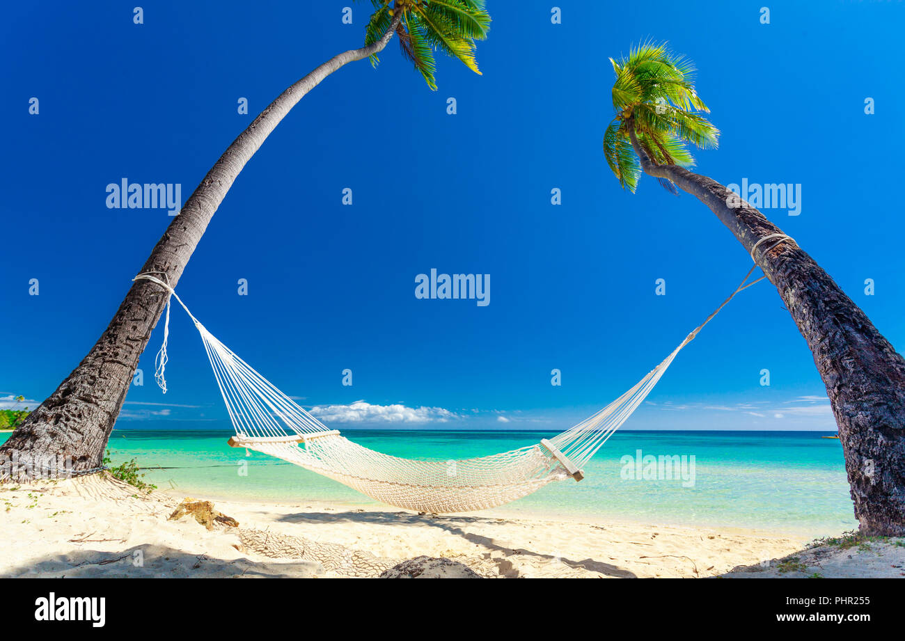 Empty hammock in the shade of palm trees on tropical Fiji Islands Stock Photo - Alamy
