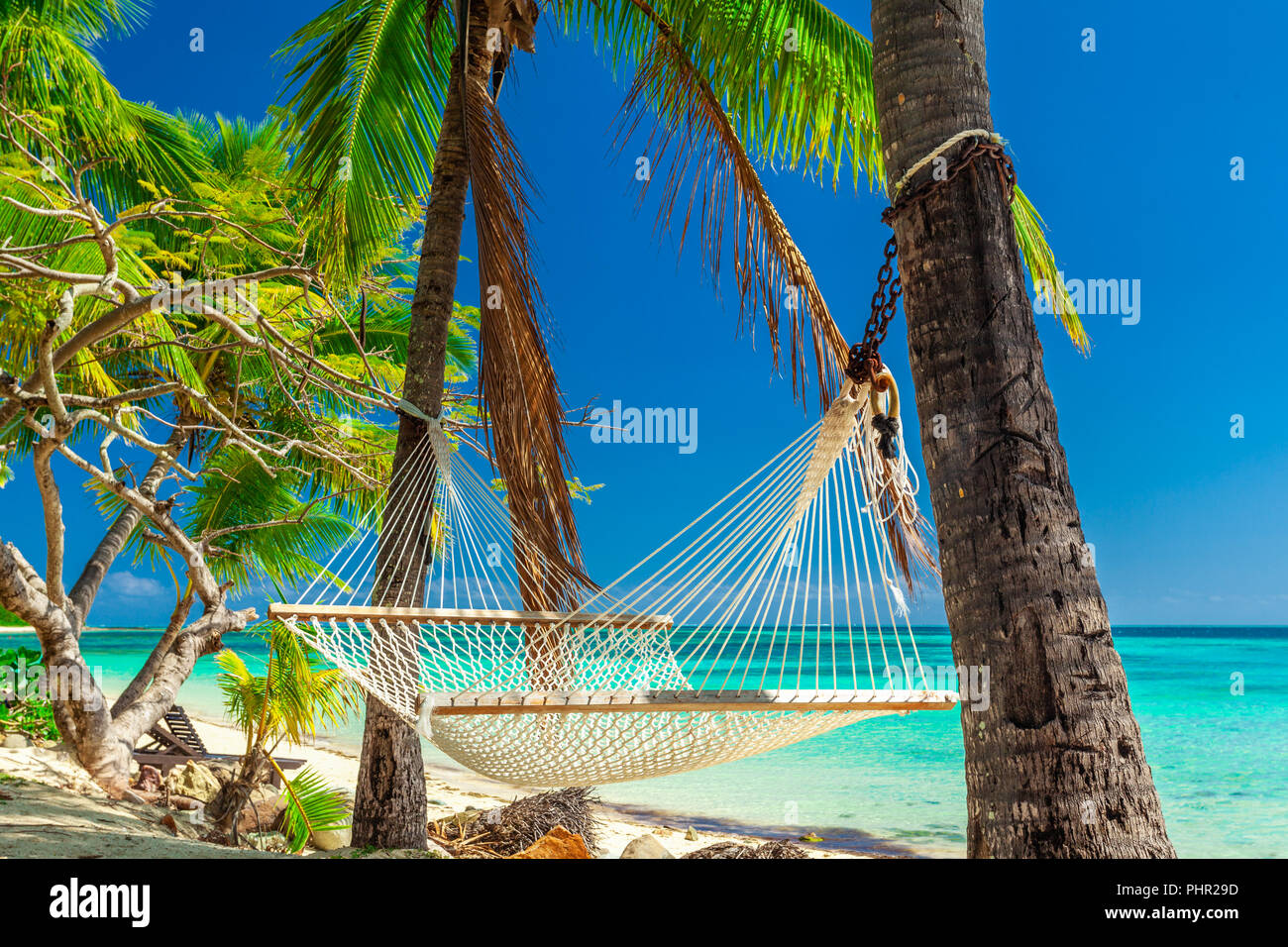 Tropical forest in fiji hi-res stock photography and images - Alamy
