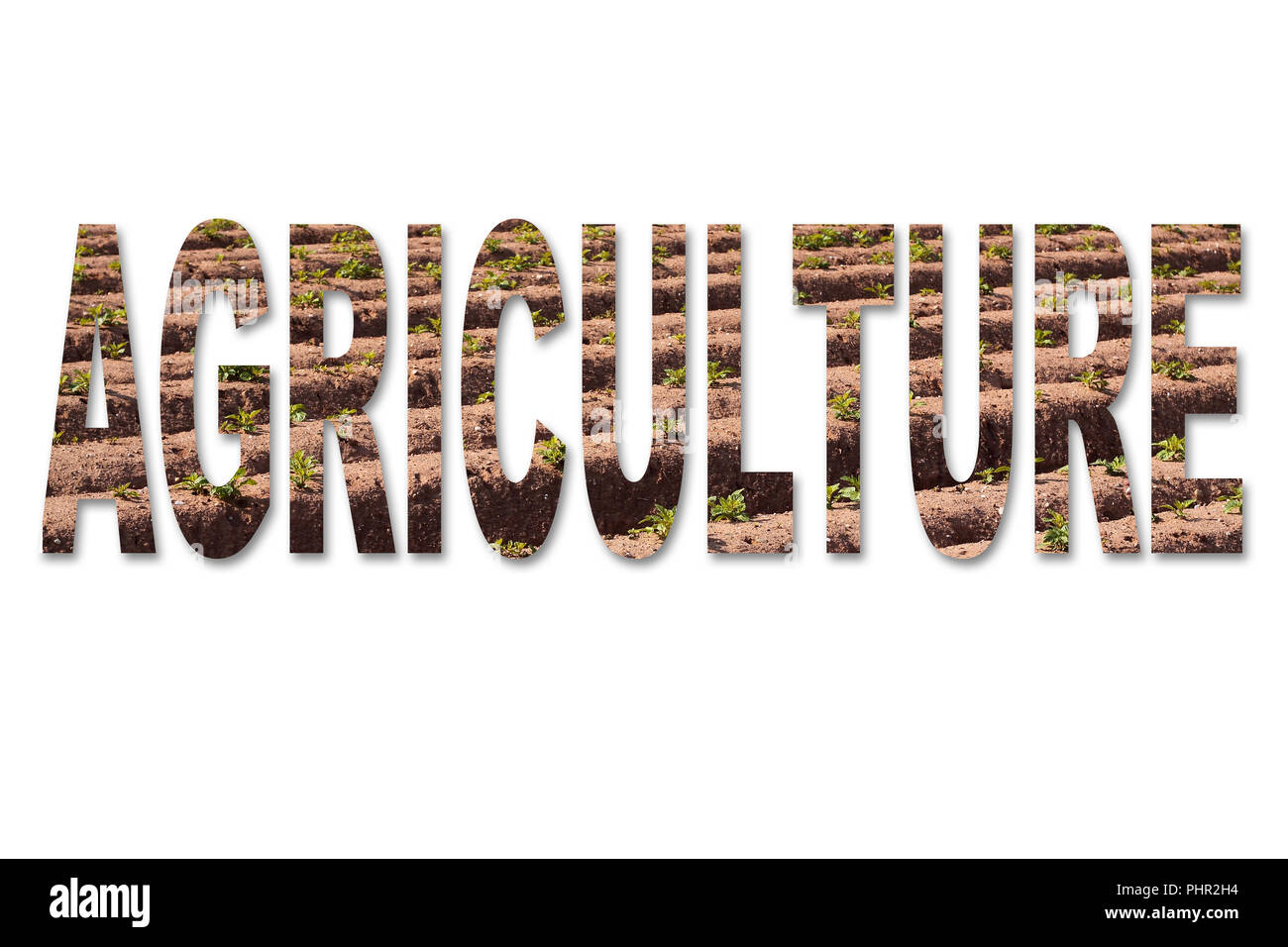 The word agriculture with an image of potato plants growing in a field ...