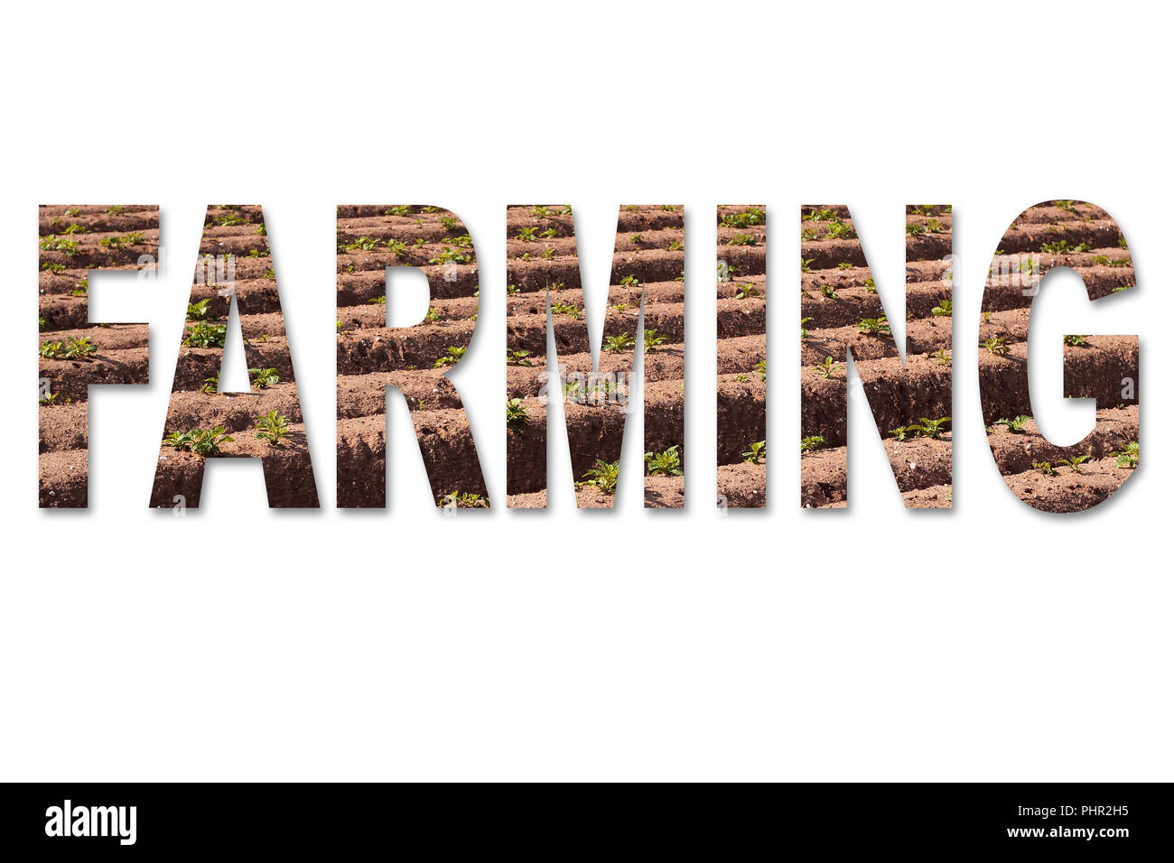 The word farming with an image of potato plants growing in a field on a ...