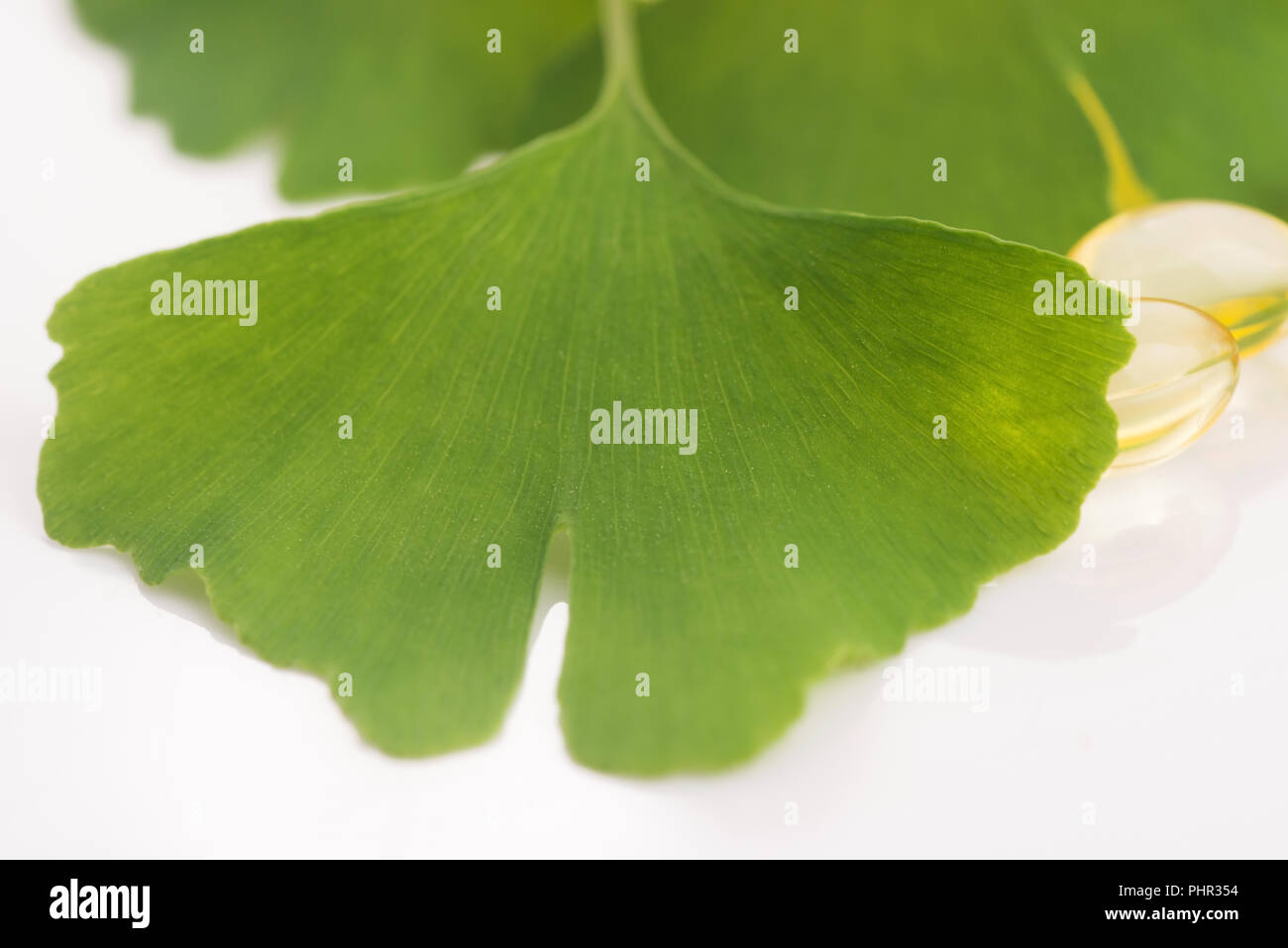 Ginkgo soap hi-res stock photography and images - Alamy