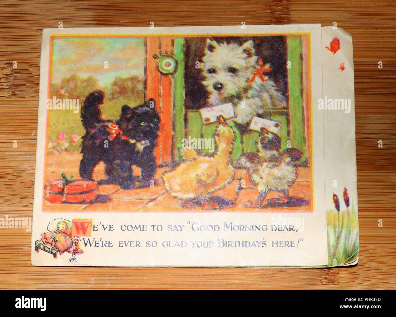 Vintage Greeting Card showing farmyard scene with dog, cat, duck and ...