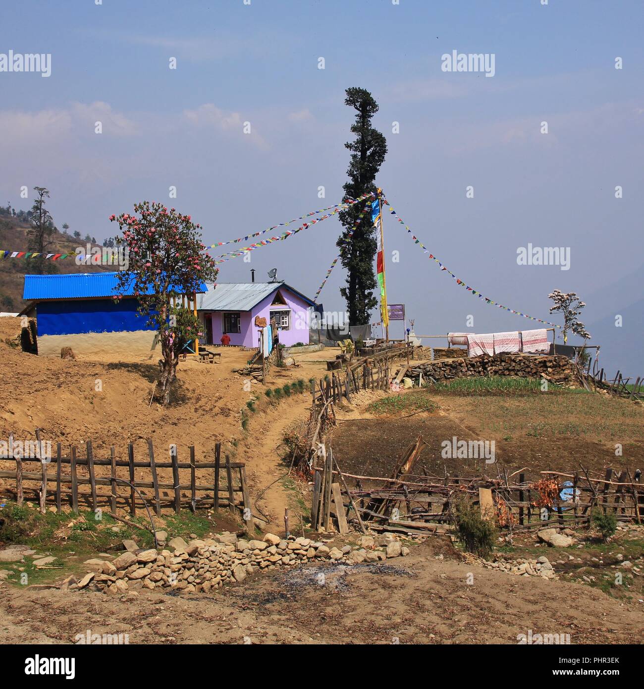 Spring day in the Langtang National Park, Nepal Stock Photo - Alamy