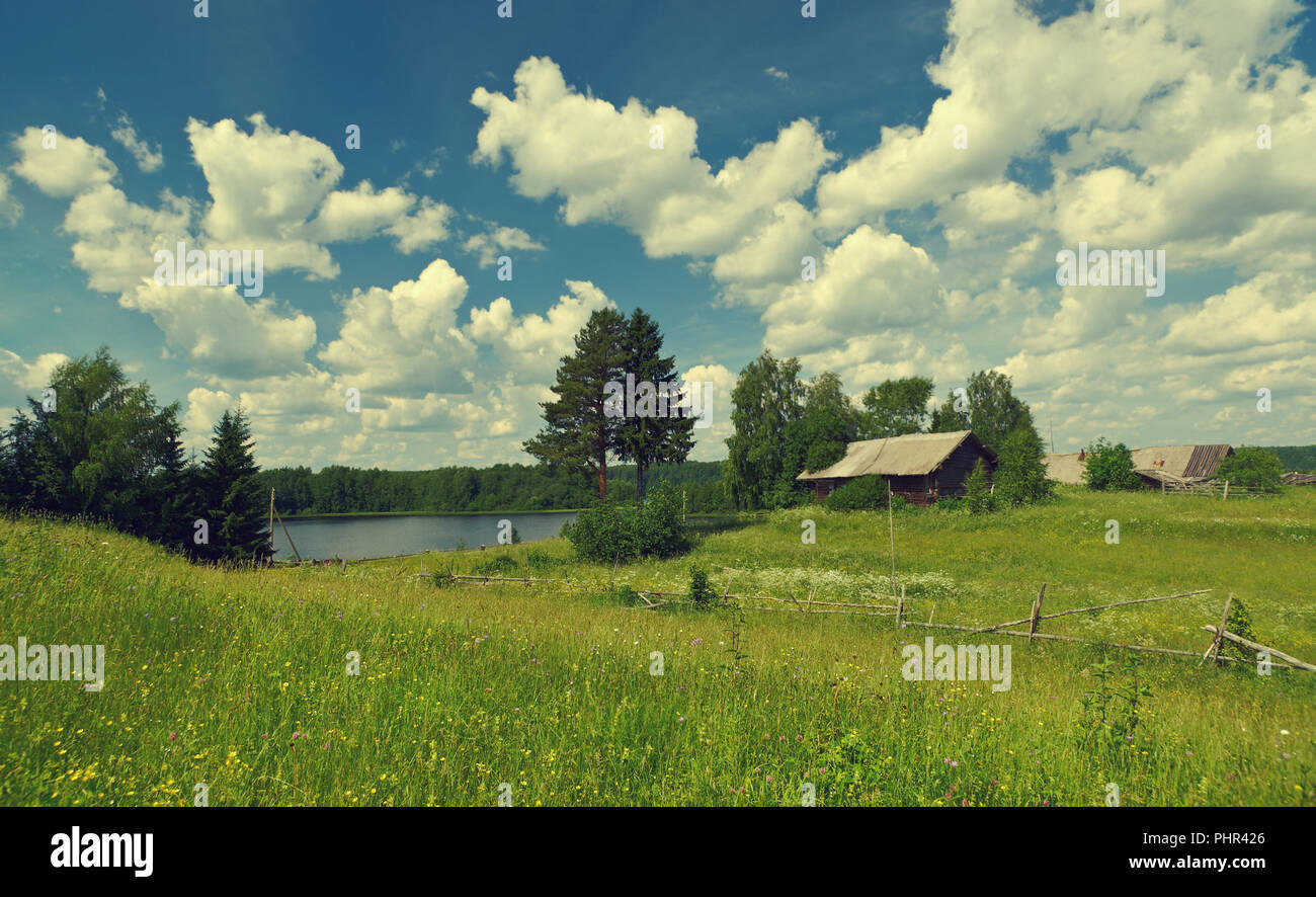 Russian summer meadow Stock Photo - Alamy
