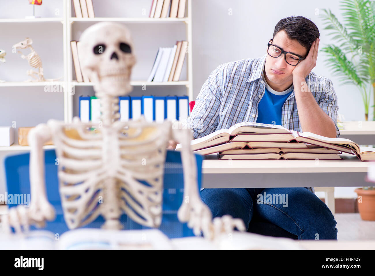 Student skeleton listening to lecture in classroom Stock Photo - Alamy