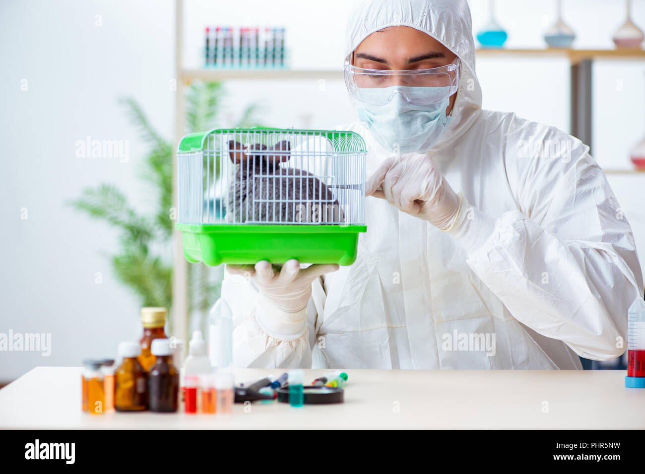 Scientist doing testing on animals rabbit Stock Photo - Alamy