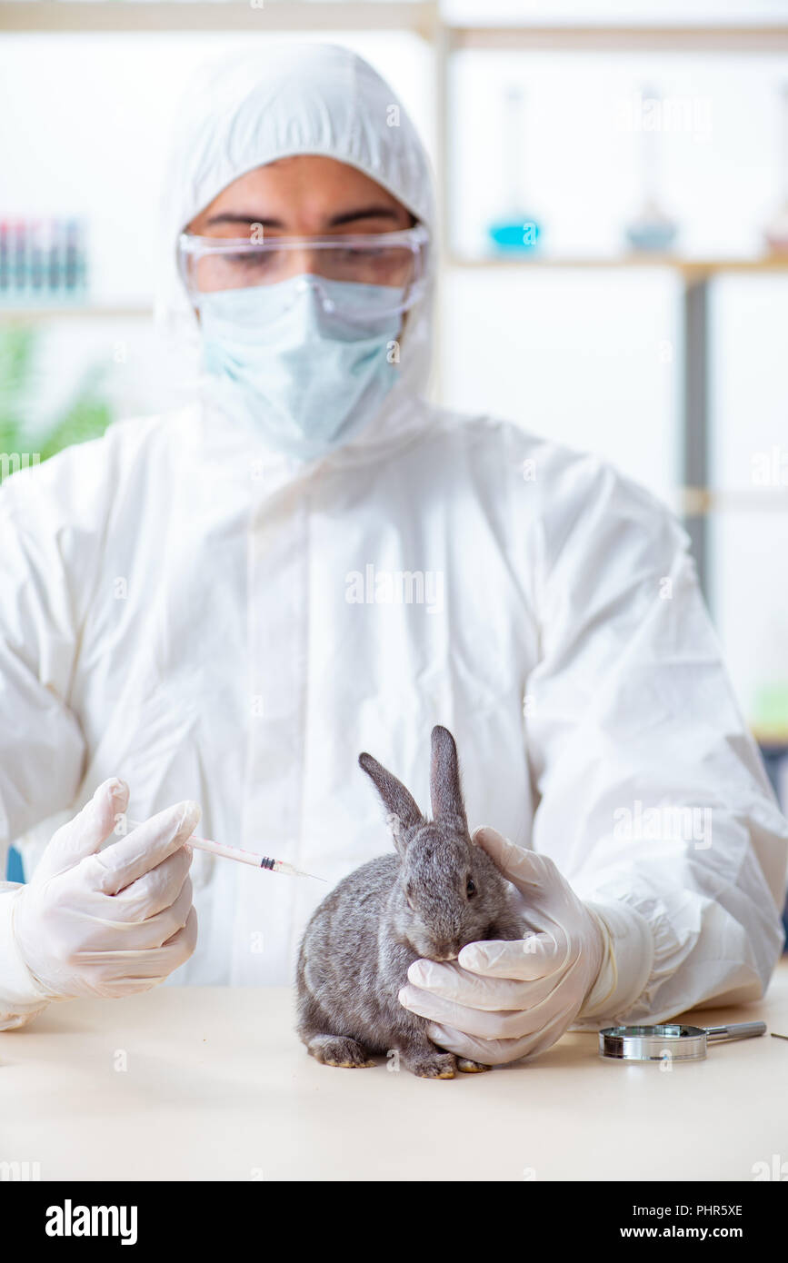 Scientist experimenting on animals hi-res stock photography and images ...