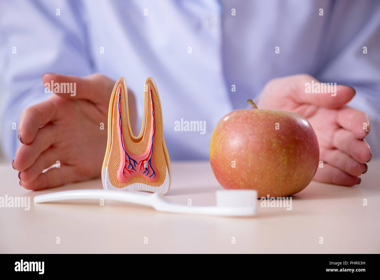 Dentist practicing work on tooth model Stock Photo - Alamy