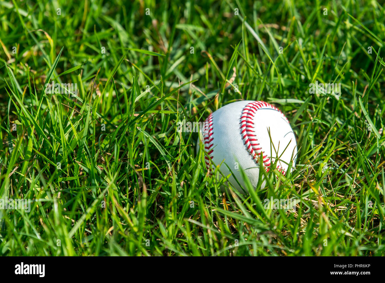 Green grass diamond field hi-res stock photography and images - Alamy