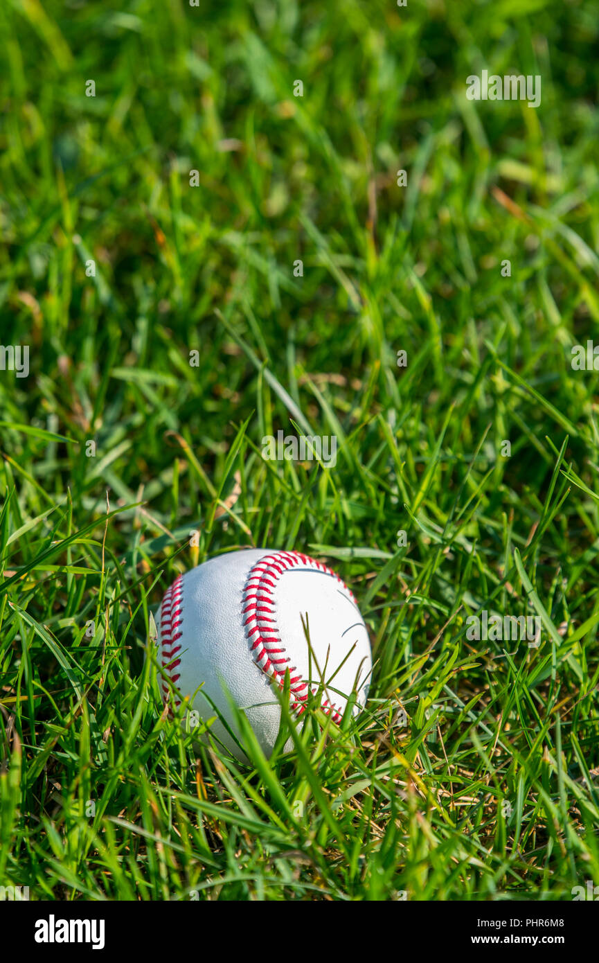 A white baseball on the fresh green grass Stock Photo - Alamy