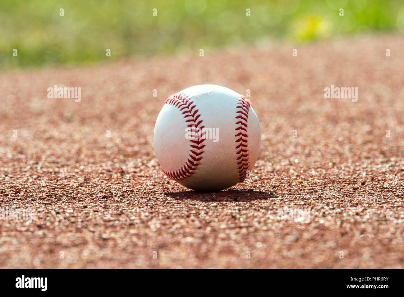 New coach baseball team hi-res stock photography and images - Alamy