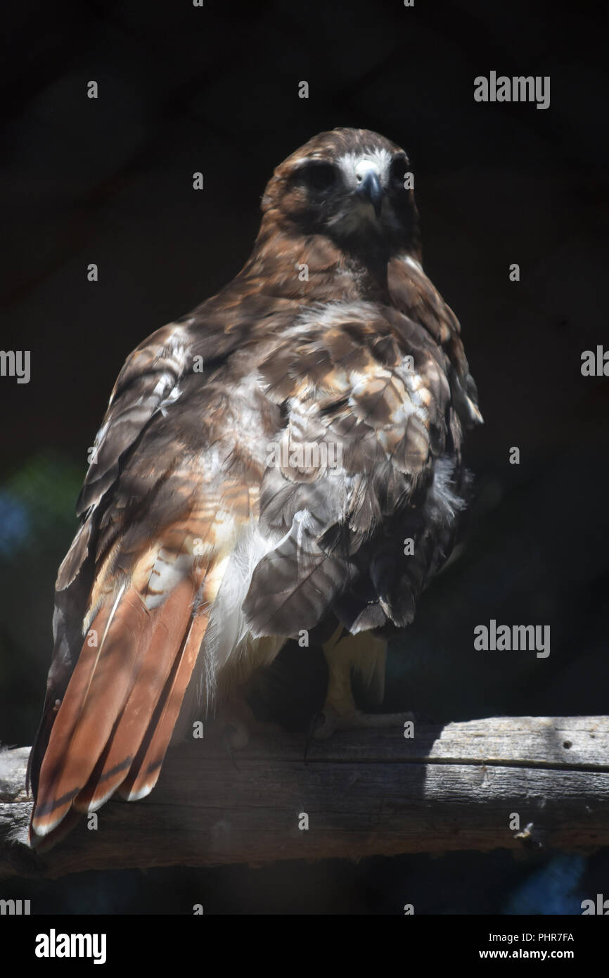 180 degree turn hi-res stock photography and images - Alamy