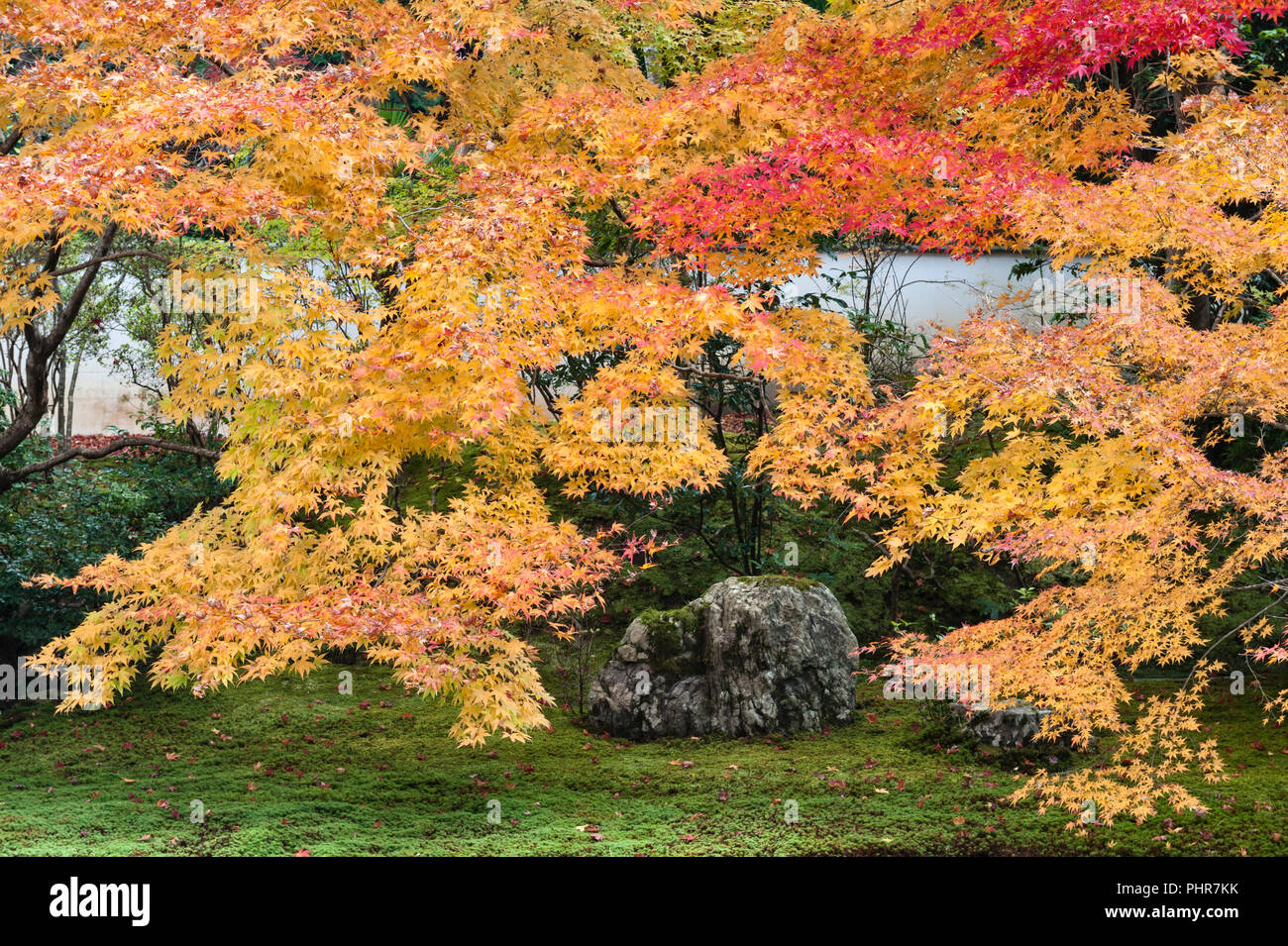 The Nanzen-ji temple complex, Kyoto, Japan. Brightly coloured autumn ...