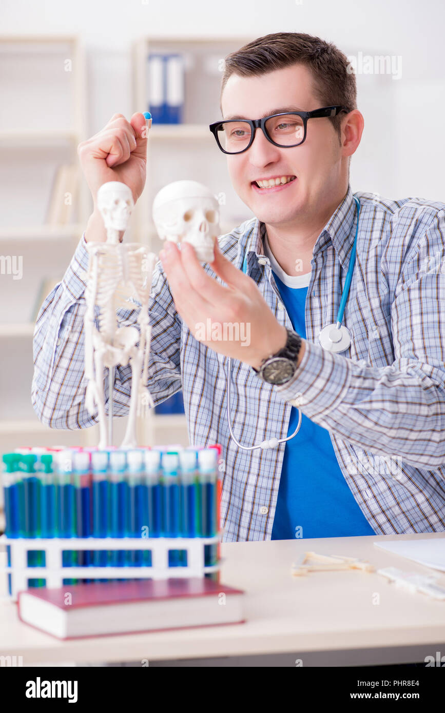Medical student studying skeleton in classroom during lecture Stock ...
