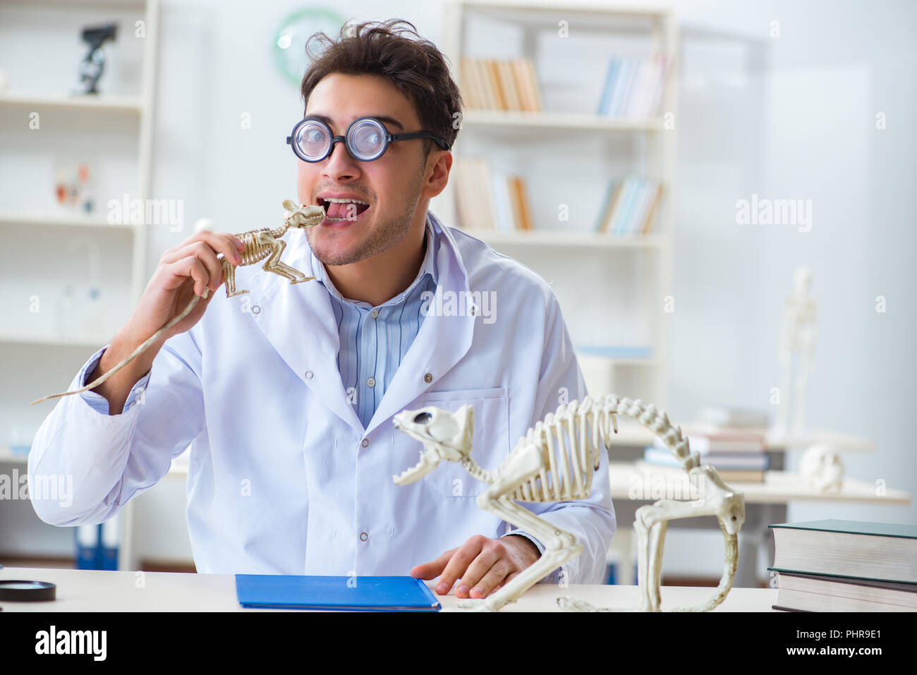 Funny crazy student doctor studying animal skeleton Stock Photo - Alamy