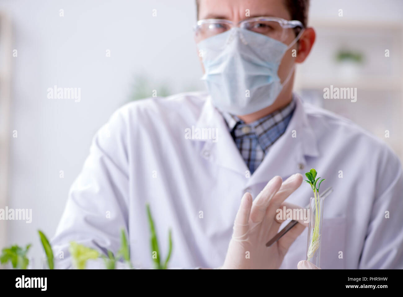 Male biochemist working in the lab on plants Stock Photo - Alamy