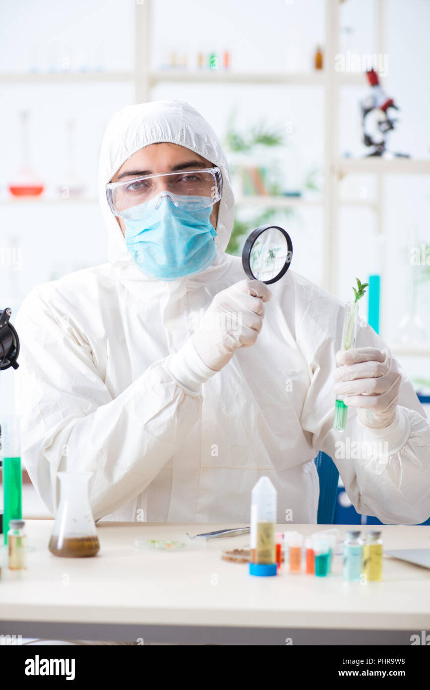 Male biochemist working in the lab on plants Stock Photo - Alamy