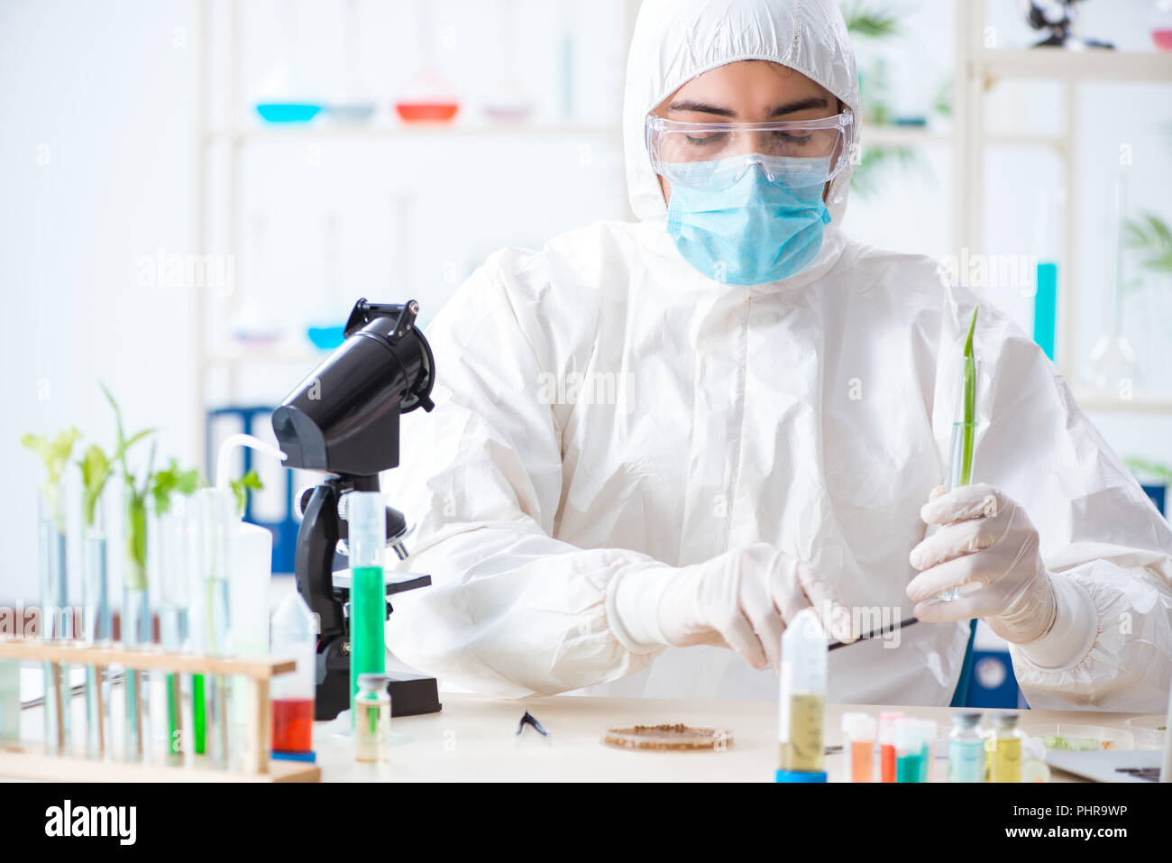 Male biochemist working in the lab on plants Stock Photo - Alamy